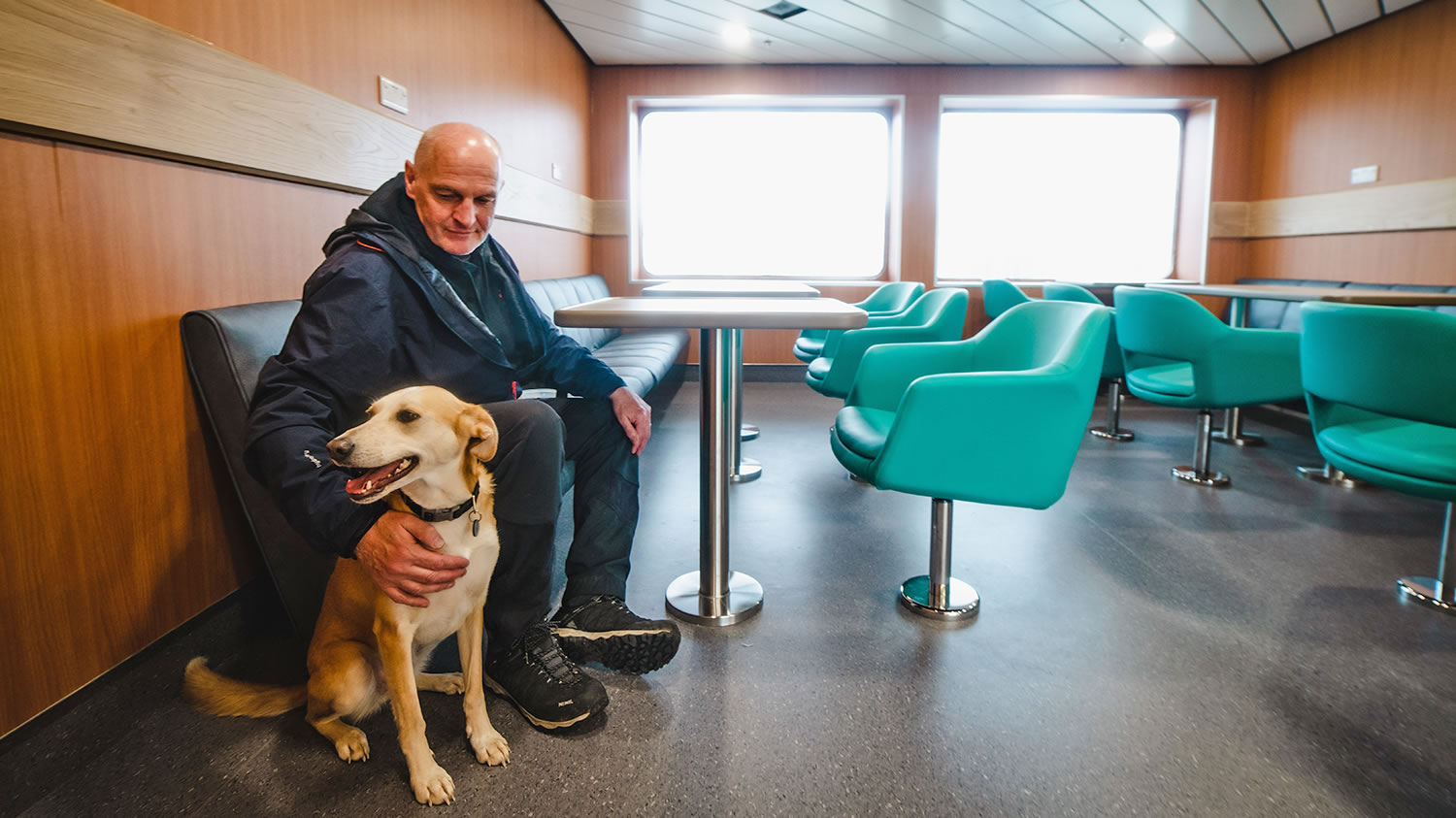 Travelling to Shetland and Orkney with pets | NorthLink