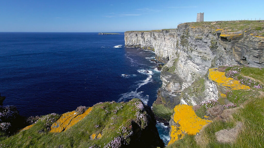 Unique wildlife in Orkney and where to find it | NorthLink Ferries