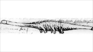 Orkney Island in Focus – Stronsay | NorthLink Ferries