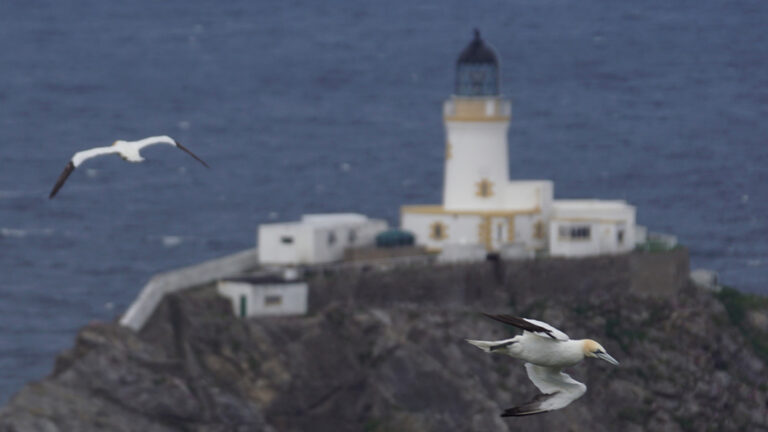Muckle Flugga | NorthLink Ferries